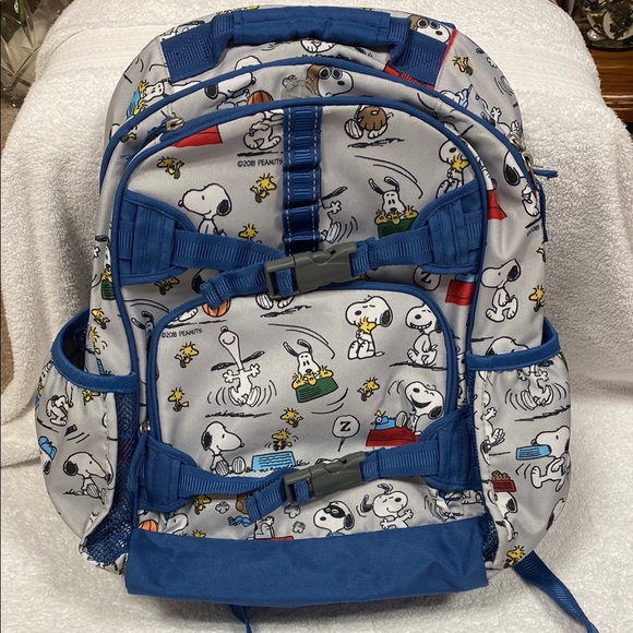 Pottery Barn Kids | Accessories | Pottery Barn Peanuts Blue And Gray ...